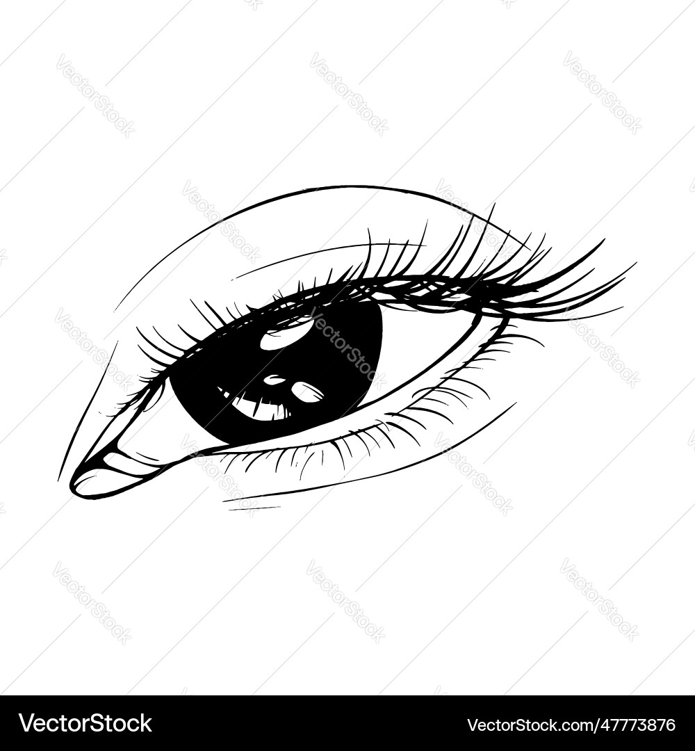 Beautiful hand drawn sketch eye line art Vector Image