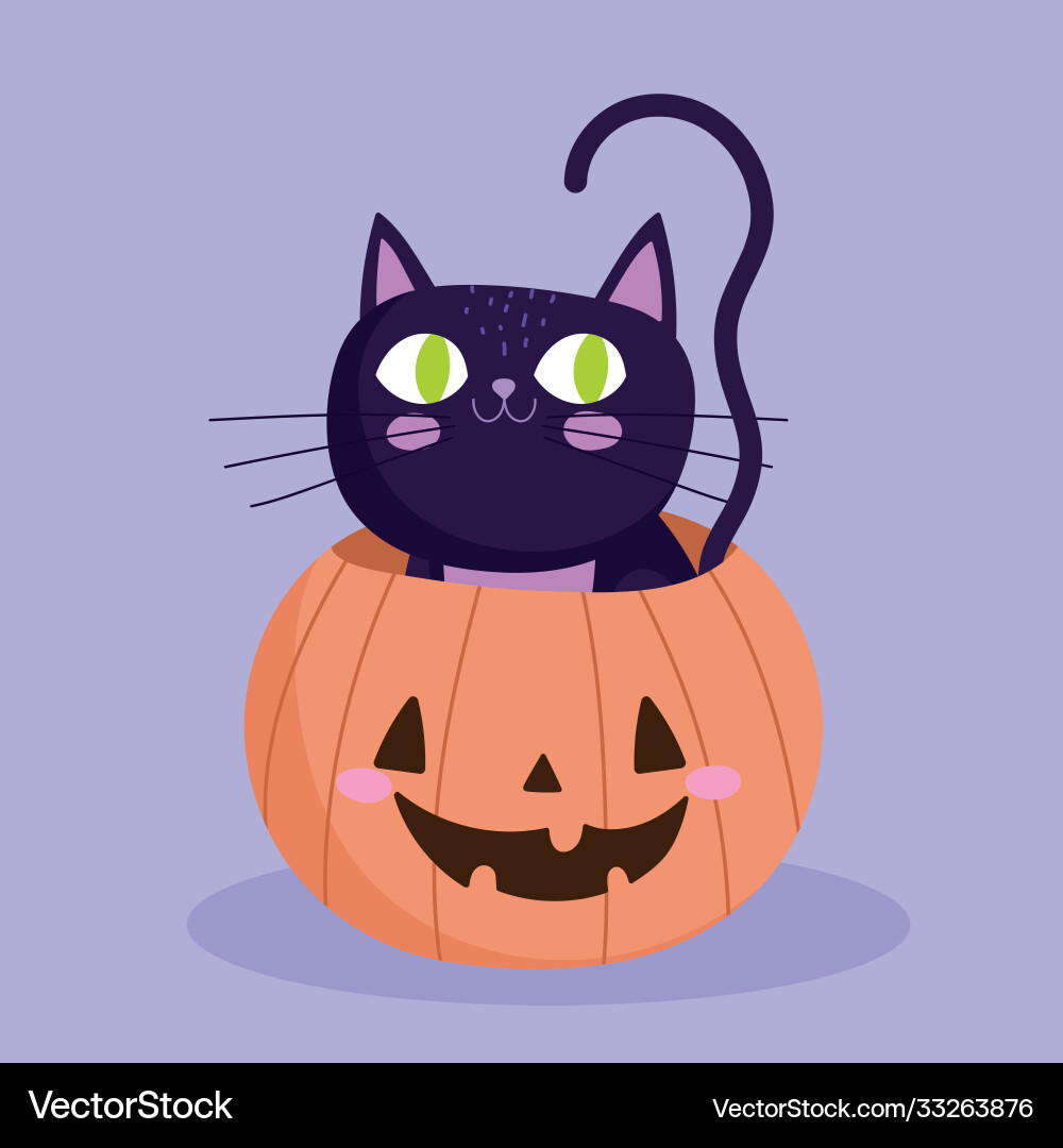 Happy halloween black cat inside pumpkin trick Vector Image