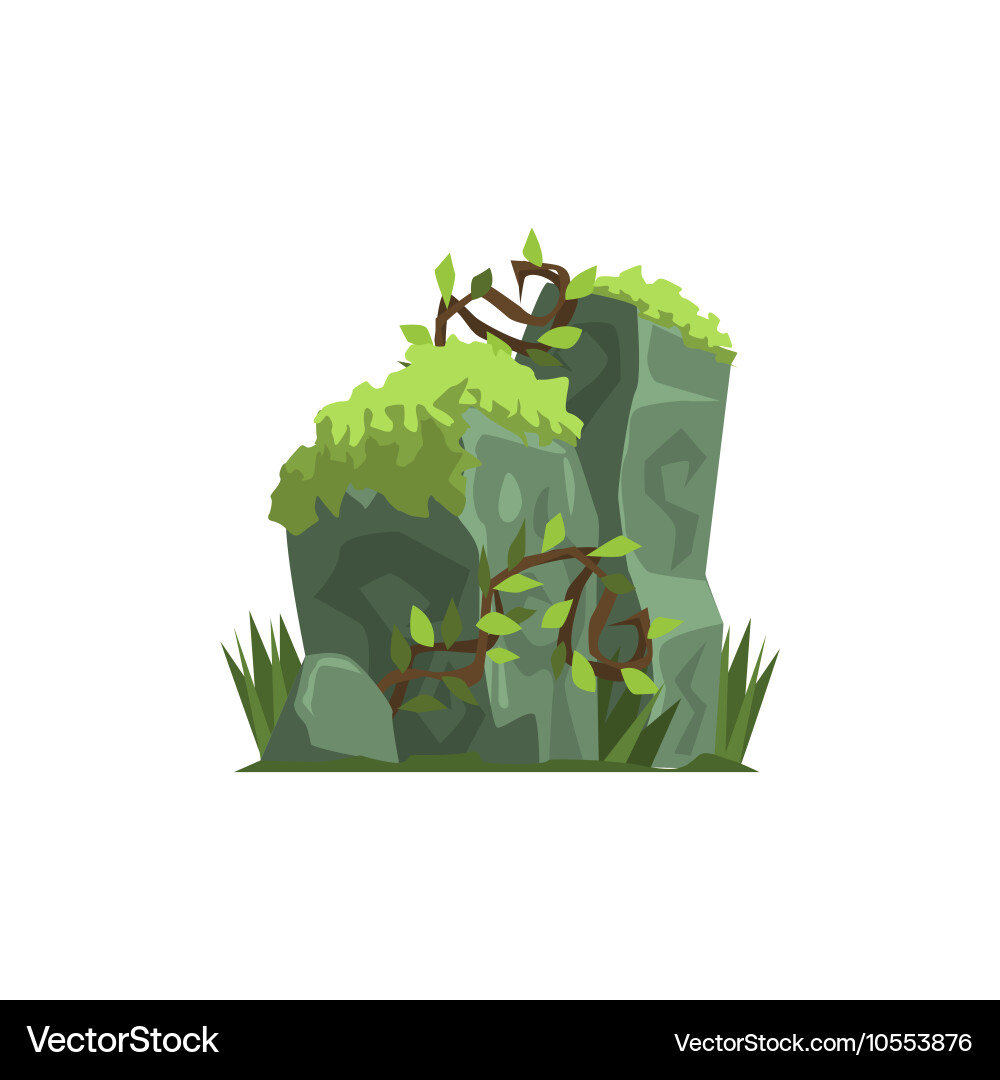Old stones covered in moss jungle landscape Vector Image