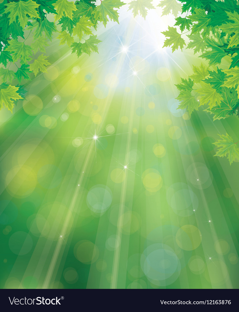 Spring leaves background Royalty Free Vector Image