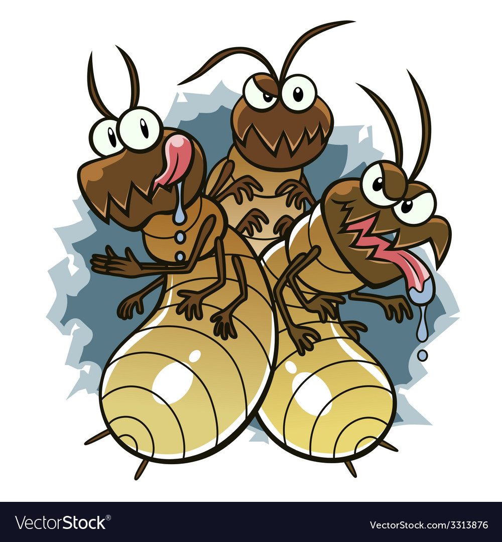 Termites Royalty Free Vector Image - VectorStock