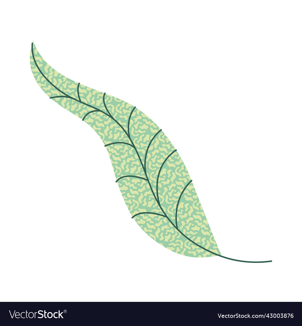 Texture leaf flora Royalty Free Vector Image - VectorStock