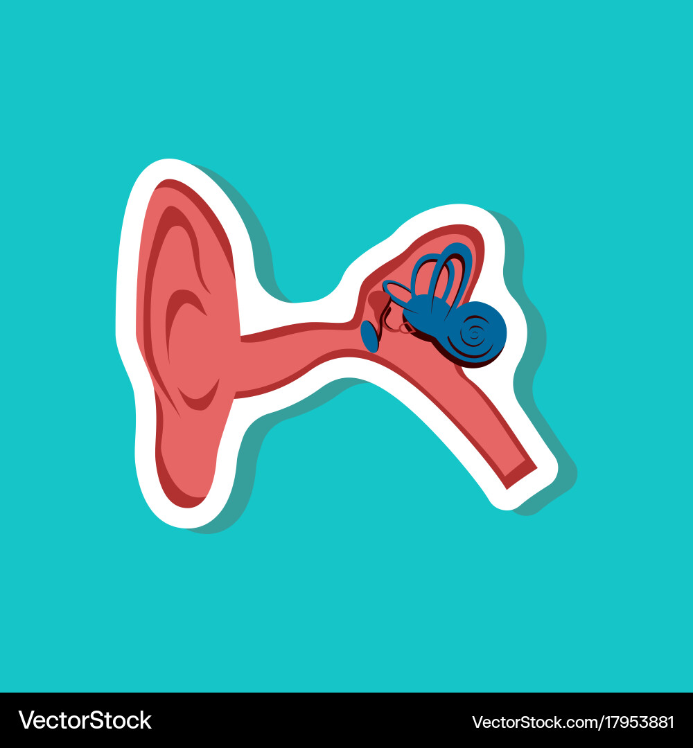 Human ear paper sticker on stylish background Vector Image