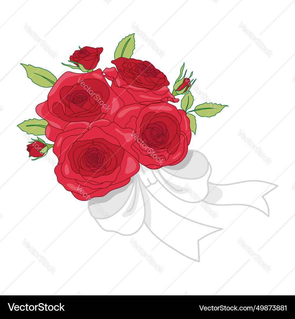 Red rose flower isolated on white background Vector Image