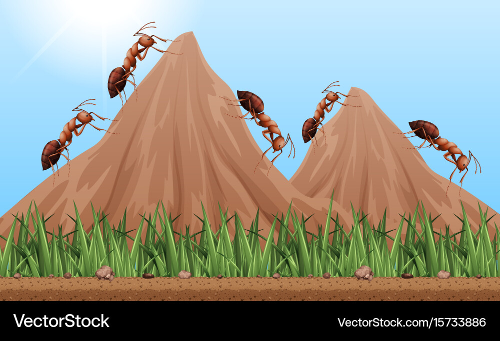 Many ants climbing up the mountains Royalty Free Vector