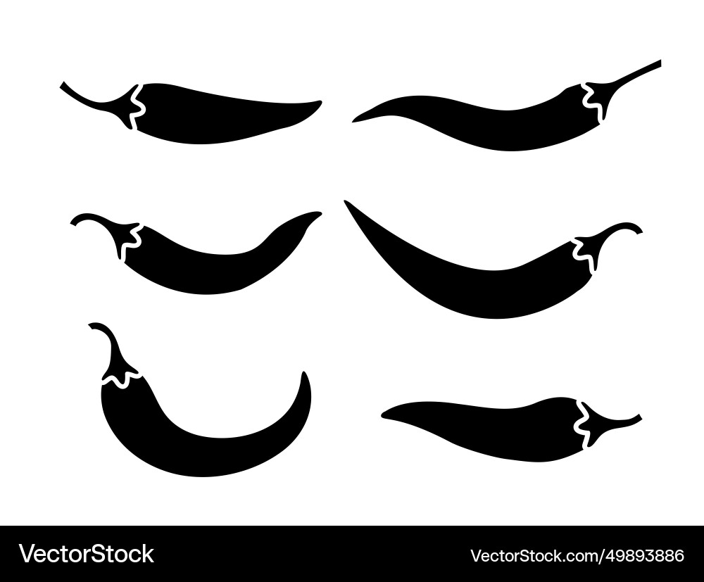 Red chili spicy pepper hot spice Royalty Free Vector Image