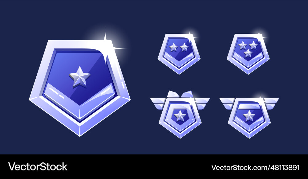 Combat game level metallic ui icons pentagon Vector Image