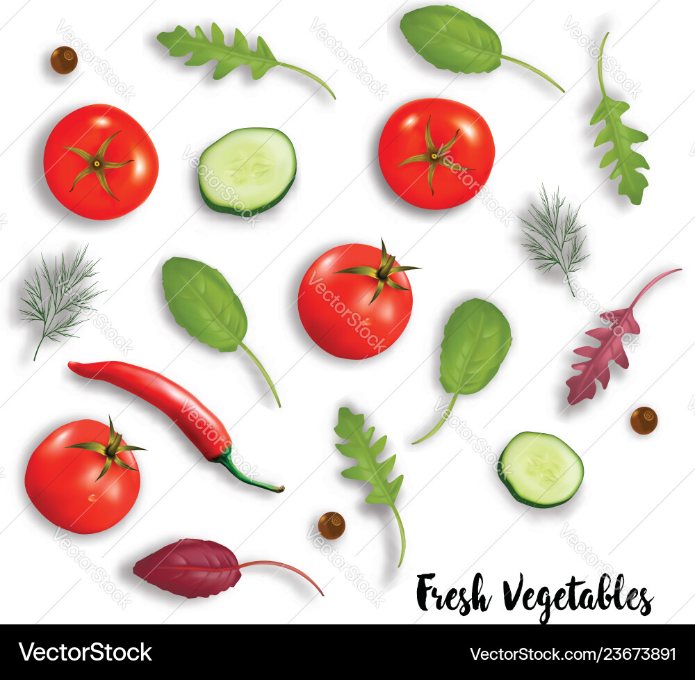 Fresh vegetables herbs and spices isolated Vector Image