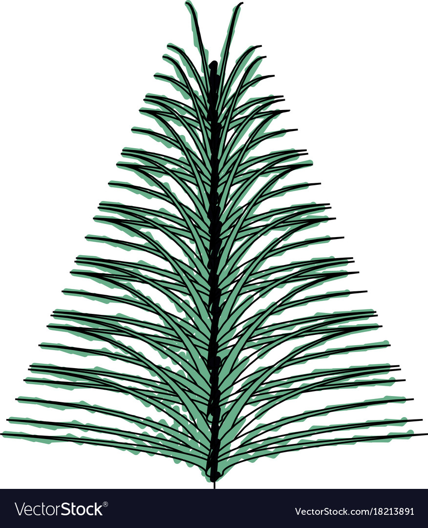 Pine tree icon Royalty Free Vector Image - VectorStock
