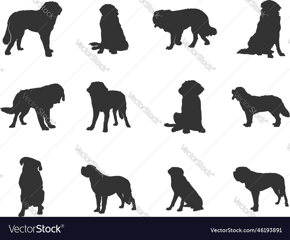 Saint bernard dog silhouette bernard svg Vector Image
