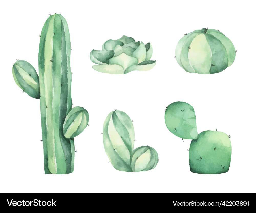Set of cactus watercolor Royalty Free Vector Image