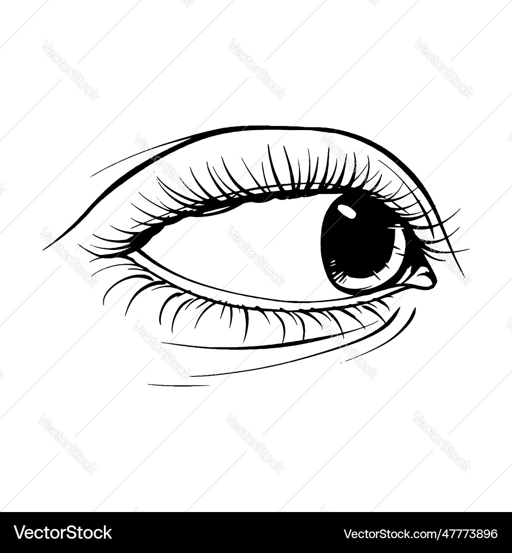 Beautiful hand drawn sketch eye line art Vector Image
