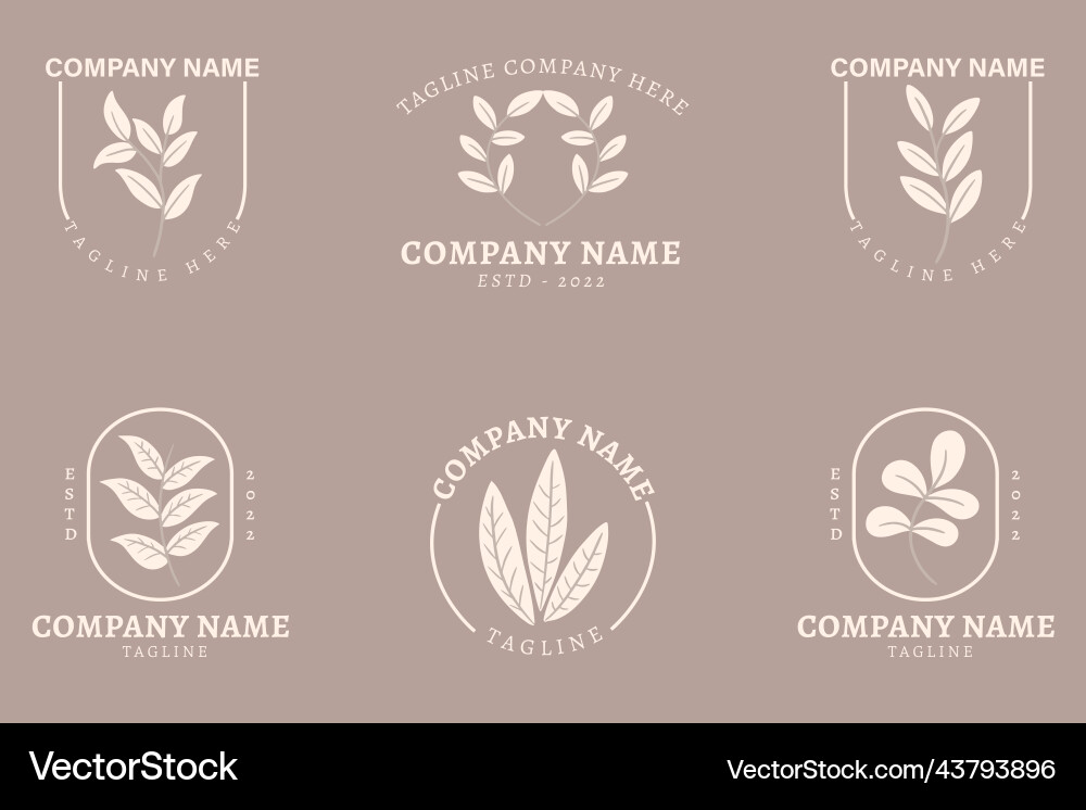 Minimalist white leaf leaves nature logo Vector Image