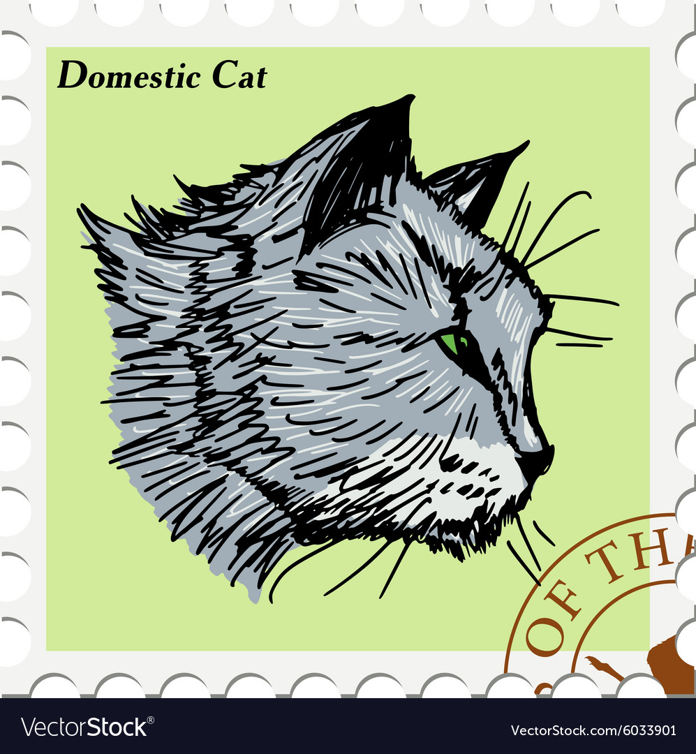 Cat Royalty Free Vector Image - VectorStock