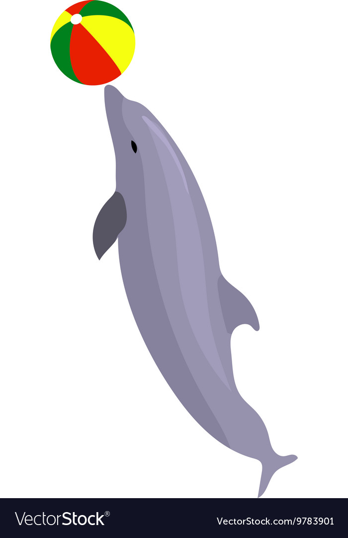 Jumping dolphin playing Royalty Free Vector Image