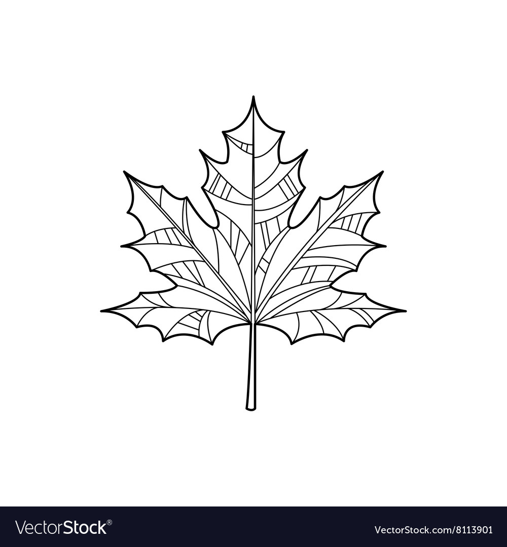 Maple leaf entangle for coloring Royalty Free Vector Image