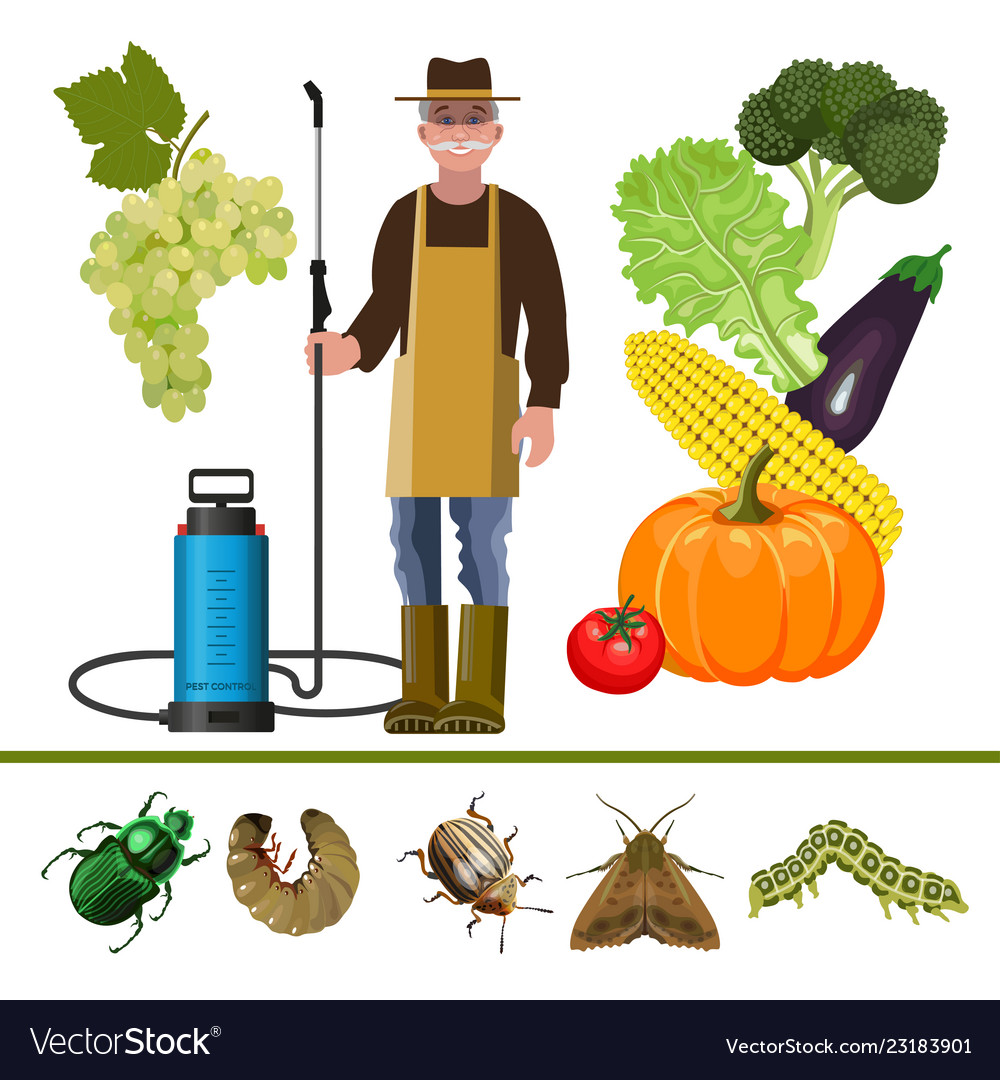 Pest control concept Royalty Free Vector Image