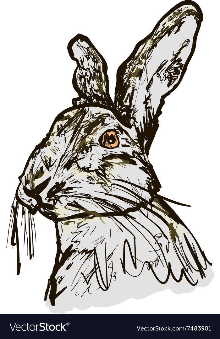 Rabbits Royalty Free Vector Image - VectorStock