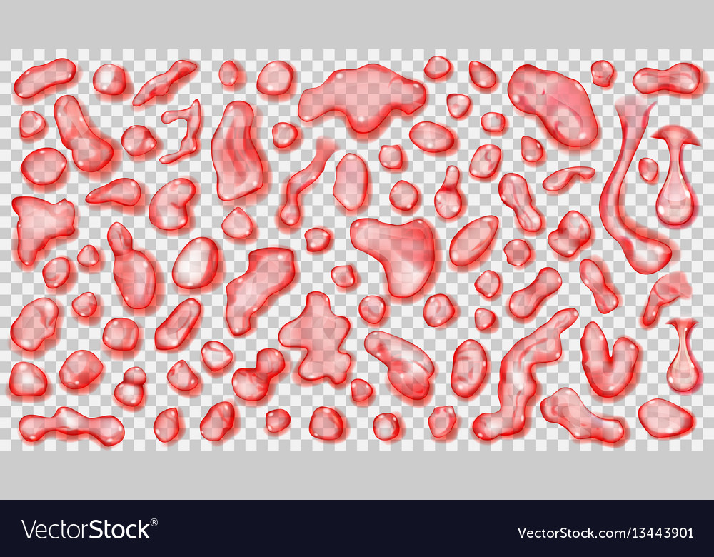 Transparent red drops Royalty Free Vector Image