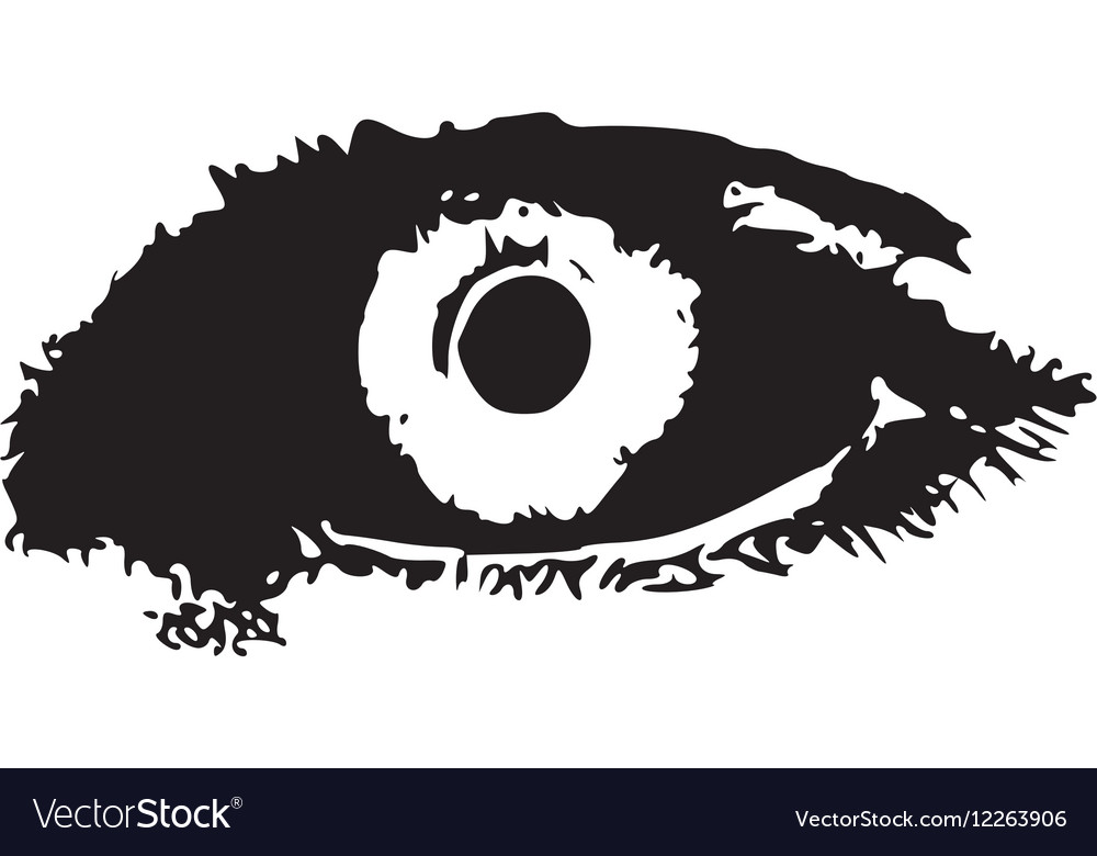 Left eye Royalty Free Vector Image - VectorStock