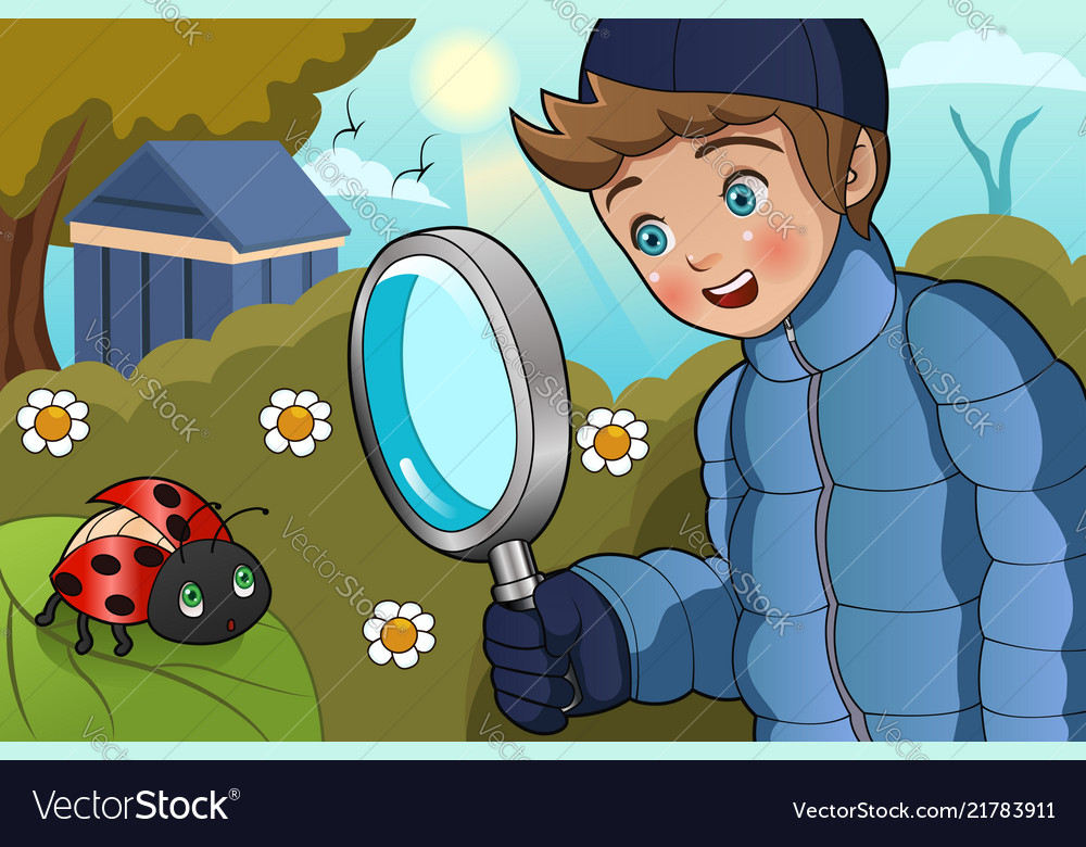 Boy looking at ladybug Royalty Free Vector Image