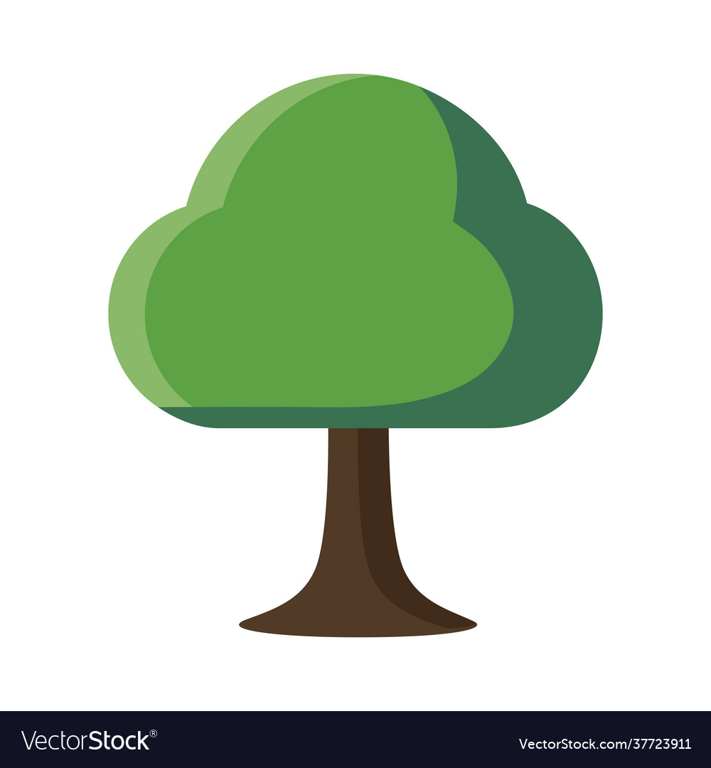 Pine tree plant Royalty Free Vector Image - VectorStock