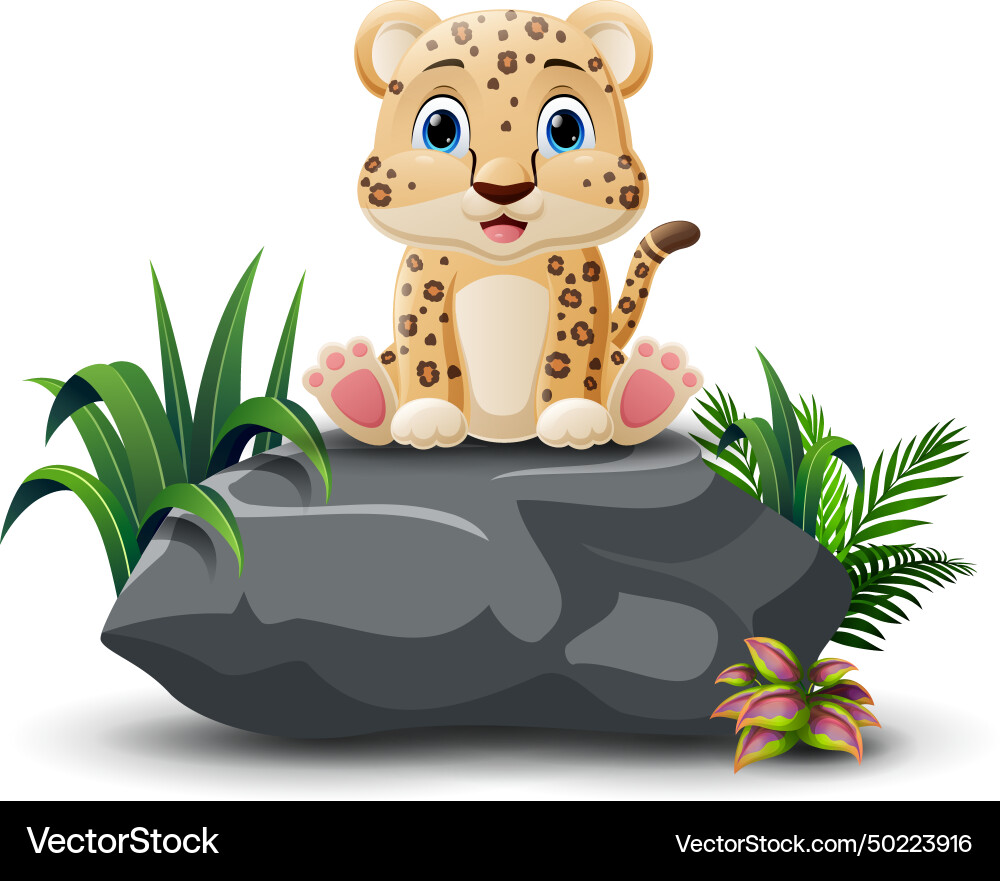 Cute leopard cartoon sitting on the stone Vector Image