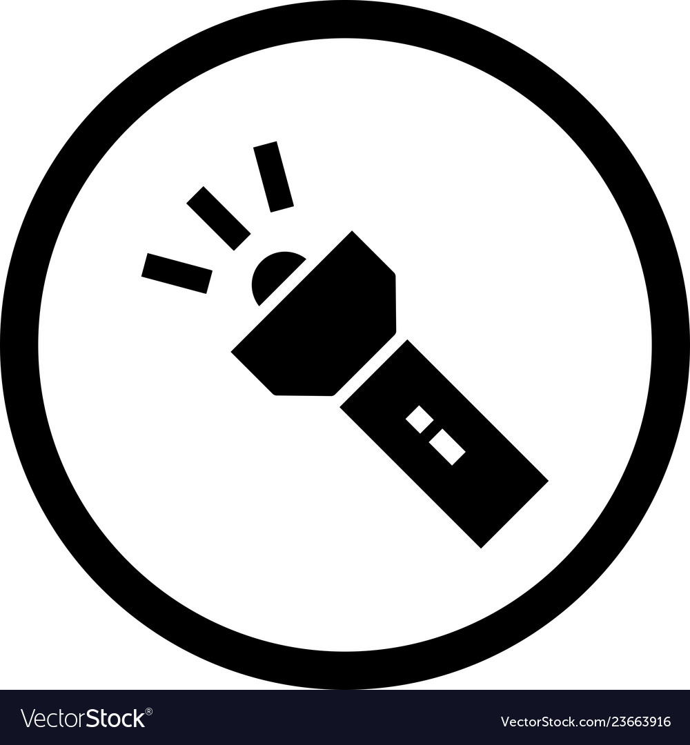 Flash icon Royalty Free Vector Image - VectorStock