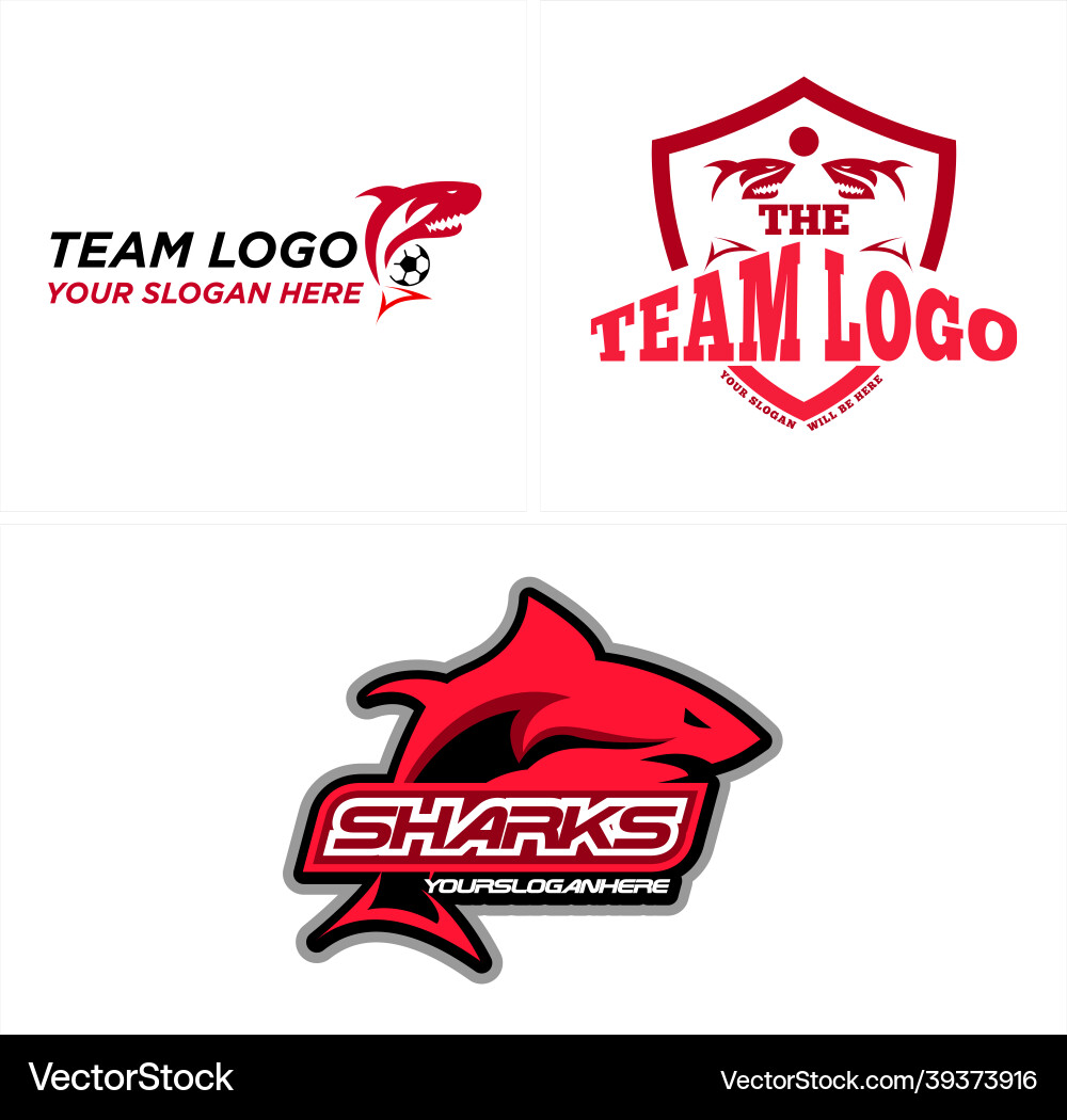 Shield badge team sport shark logo design Vector Image