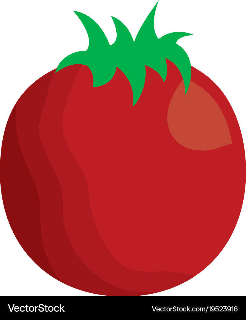 Tomato vegetable nutrition food icon Royalty Free Vector