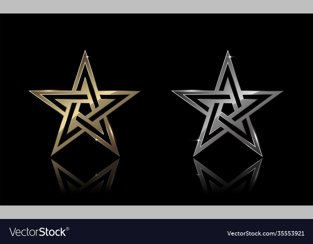 Gold and silver star Royalty Free Vector Image