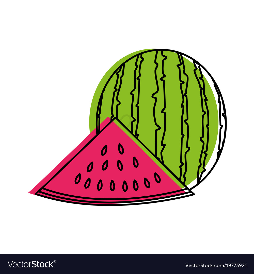 Isolated watermelon design Royalty Free Vector Image