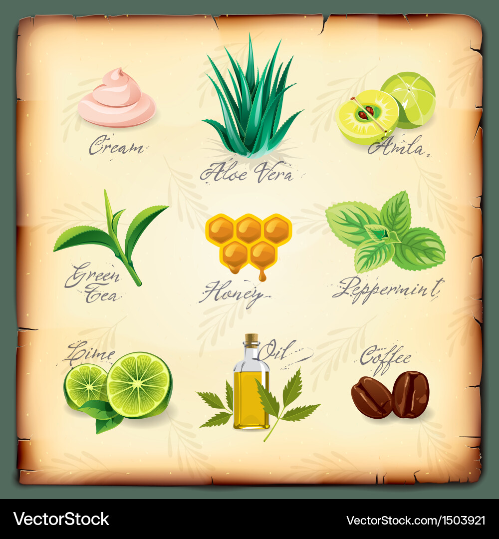 Set of natural cosmetics ingredients Royalty Free Vector