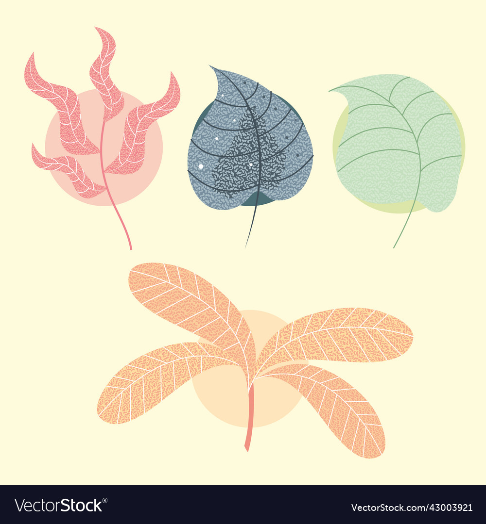 Texture plants flora Royalty Free Vector Image