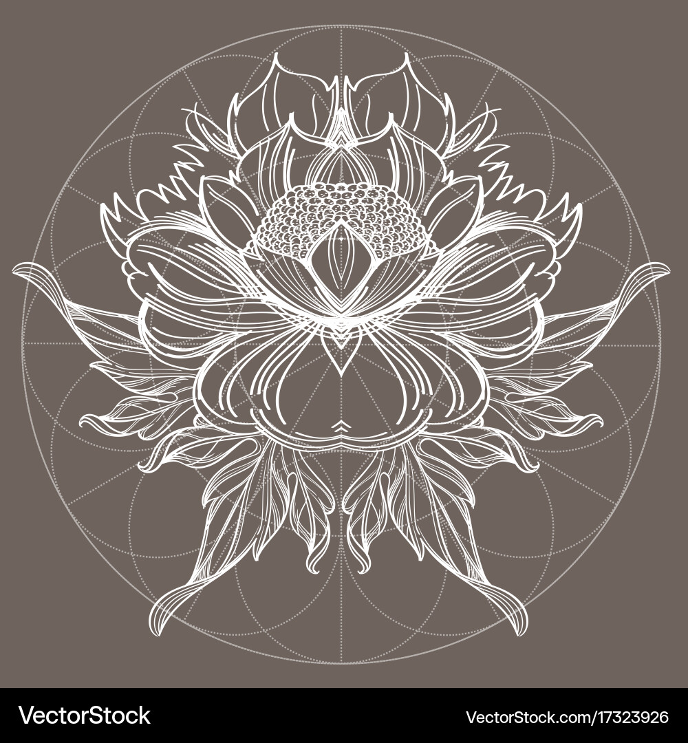 Elegant element of a stylized flower with smooth Vector Image