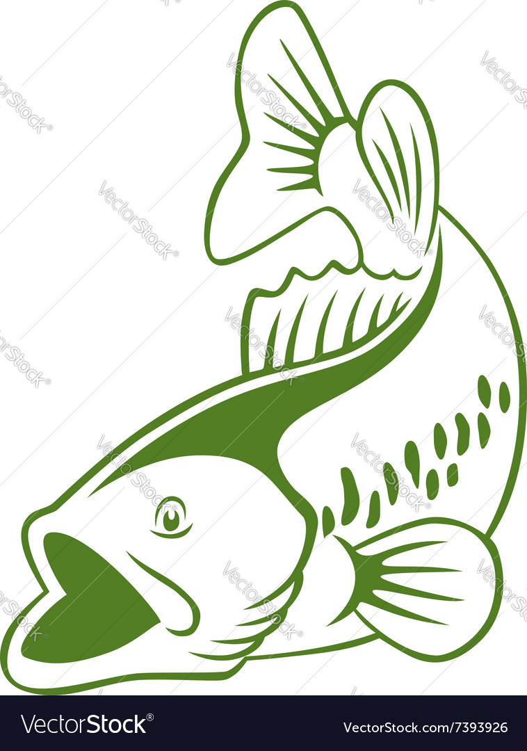 Fish perch Royalty Free Vector Image - VectorStock