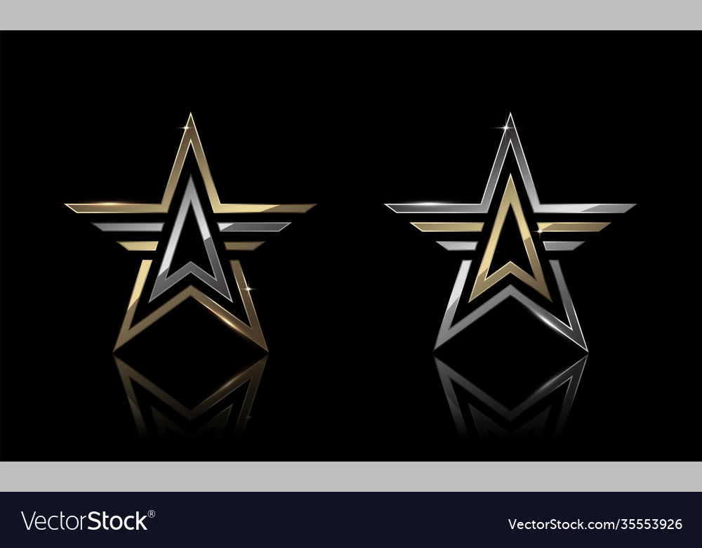 Gold and silver star Royalty Free Vector Image