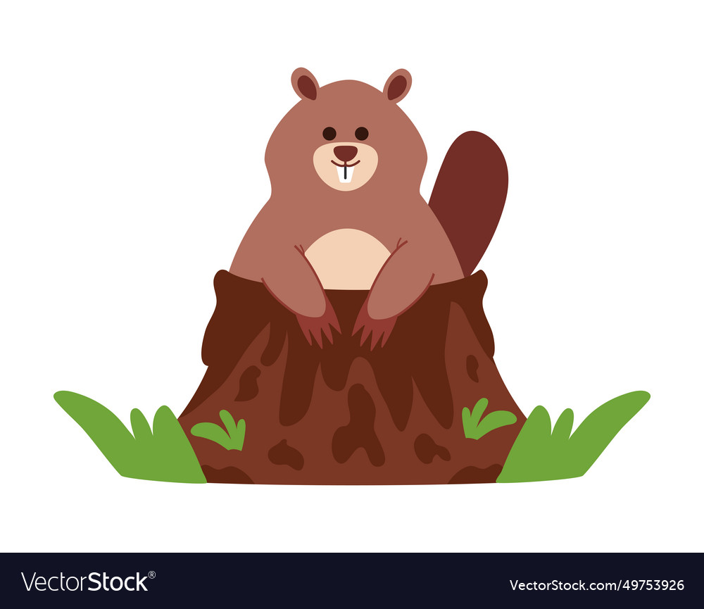 Groundhog on tree Royalty Free Vector Image - VectorStock