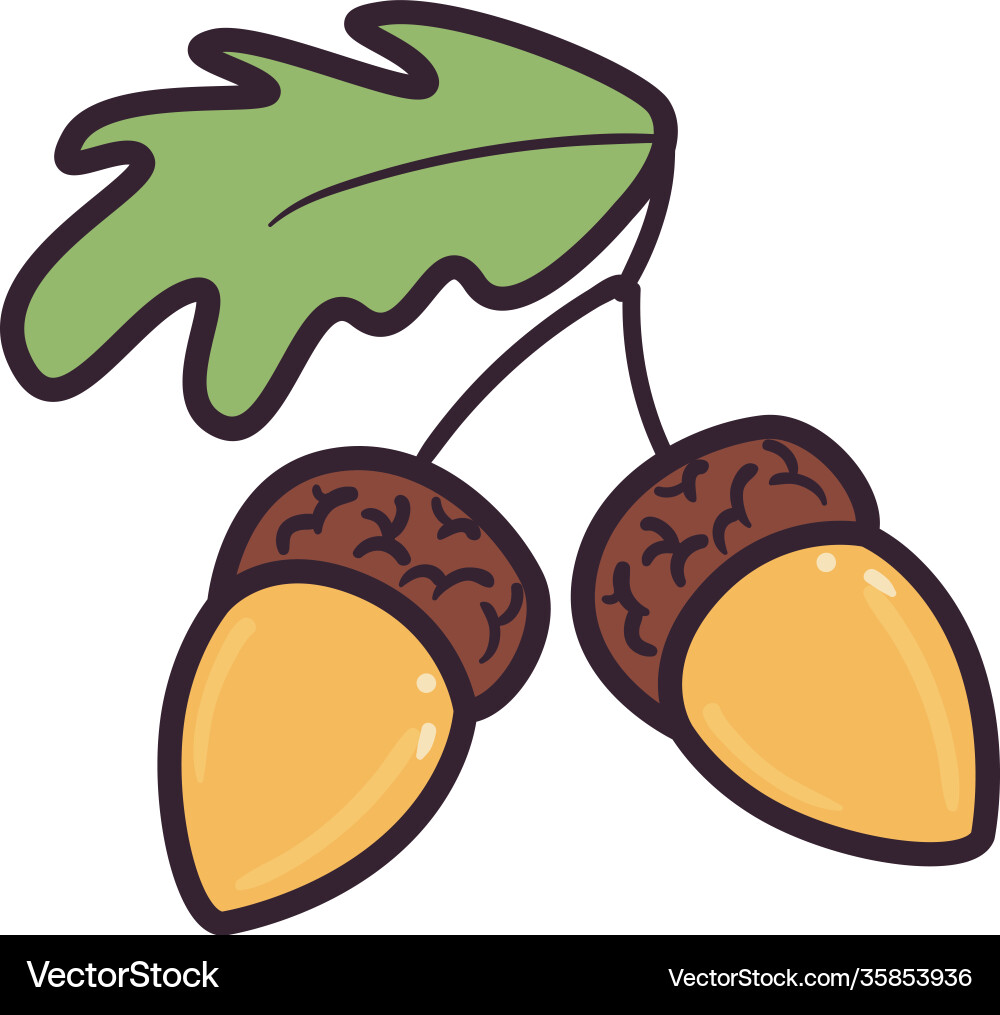 Acorn with leaf line and fill style icon Vector Image