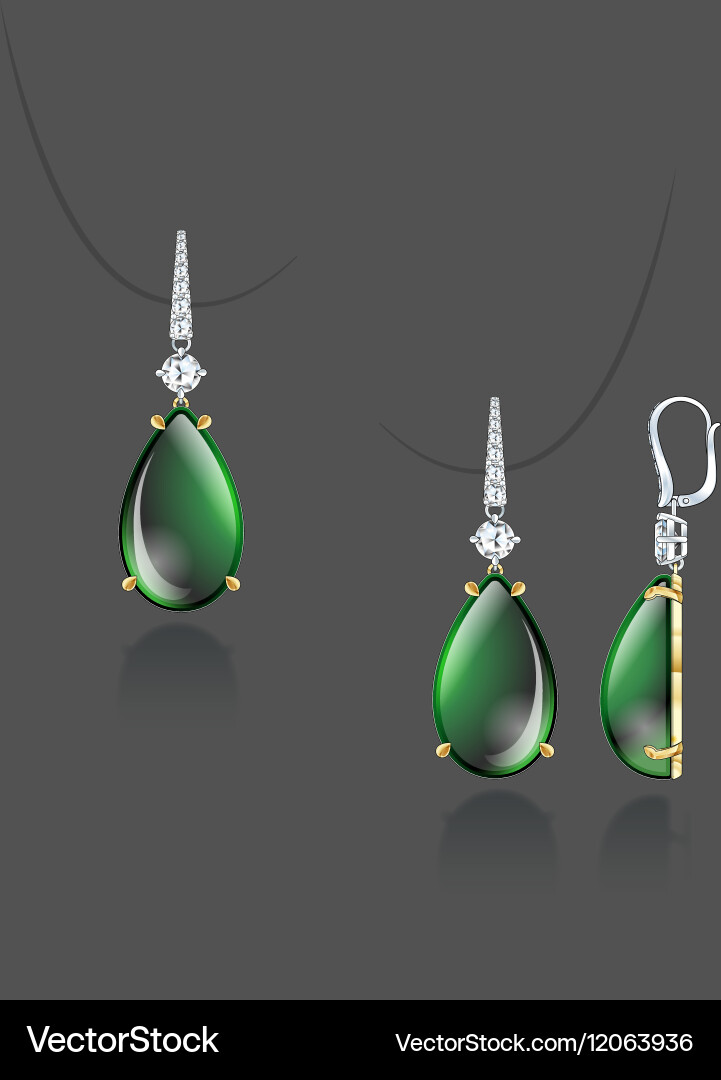 Drop earrings Royalty Free Vector Image - VectorStock