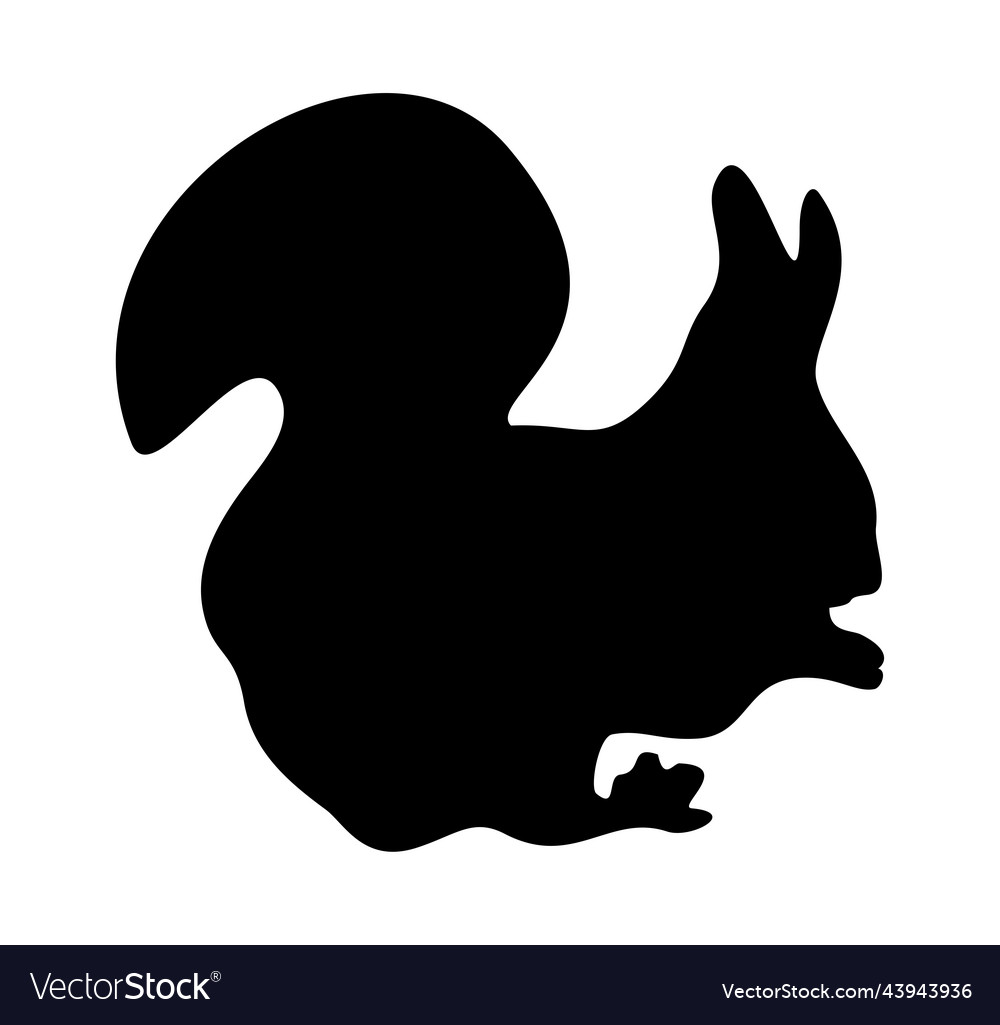 Squirrel Royalty Free Vector Image - VectorStock
