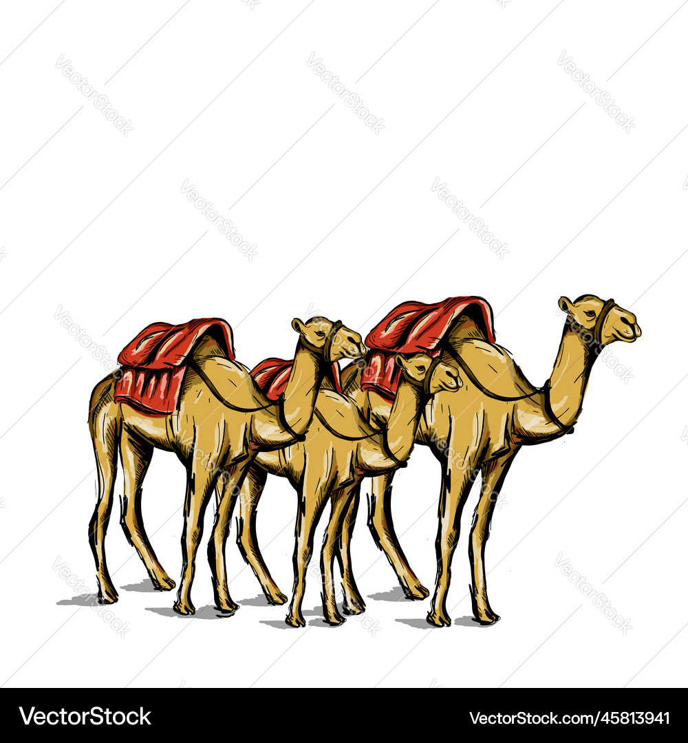 Hand drawn camel sketch drawing with watercolor Vector Image