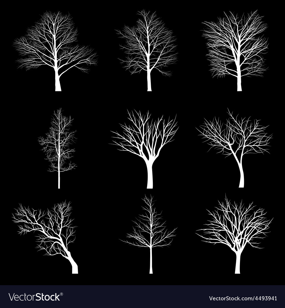 Trees with dead branch Royalty Free Vector Image