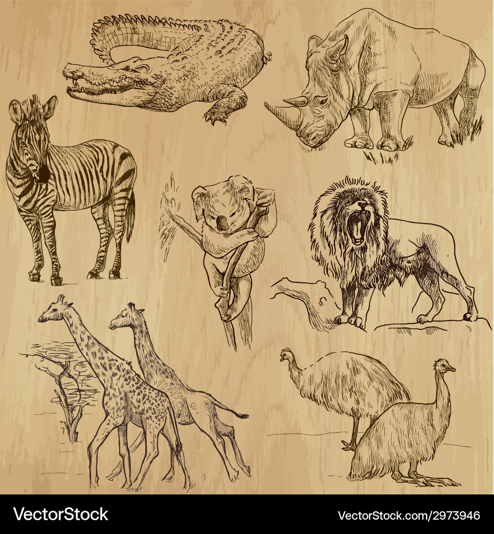 Vector Graphics Animals