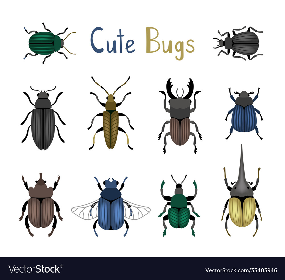 Cute bug icon set Royalty Free Vector Image - VectorStock