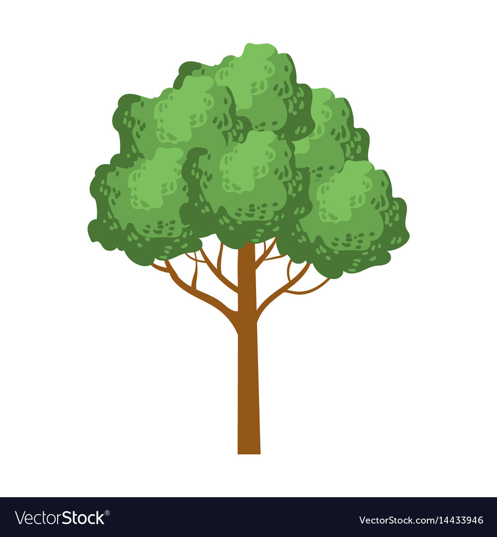 Green tree with a rounded crown element Royalty Free Vector