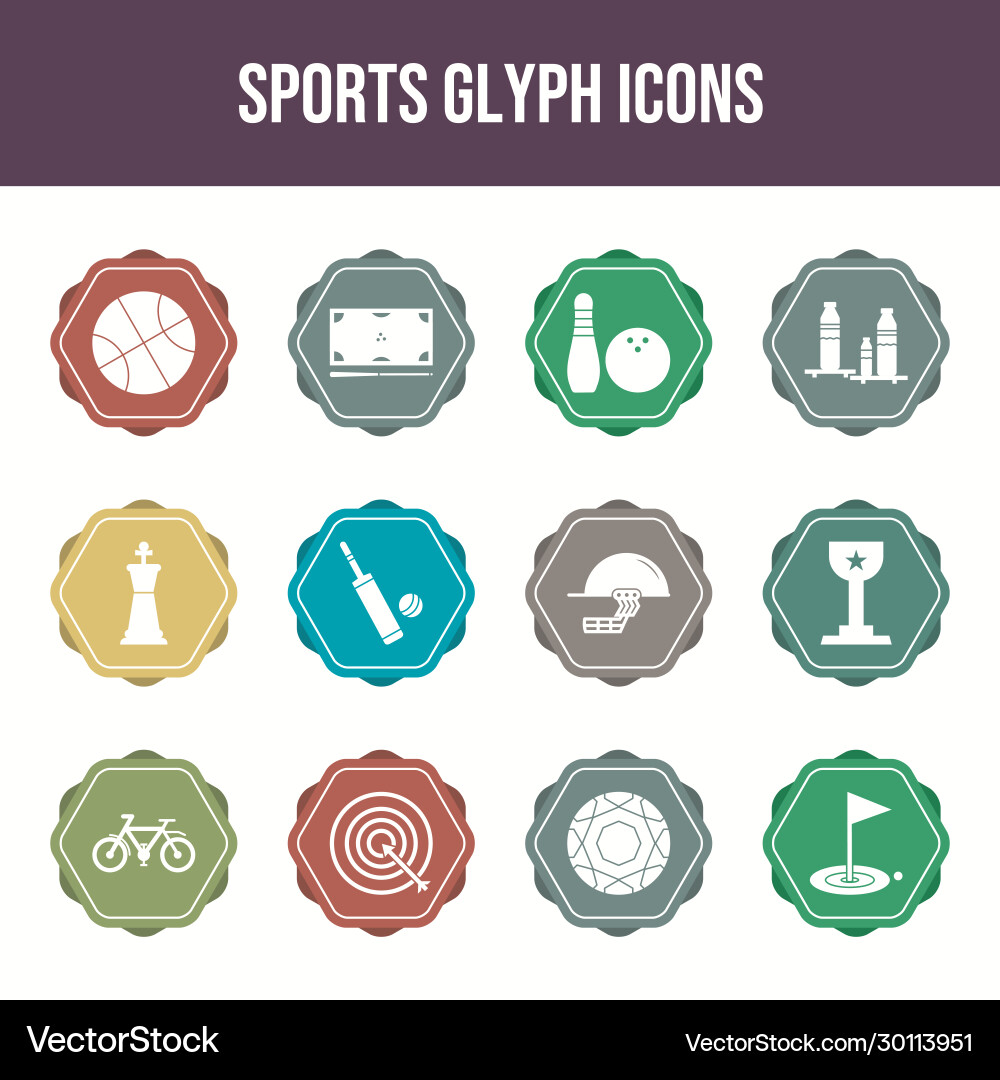 Beautiful sports icon set Royalty Free Vector Image