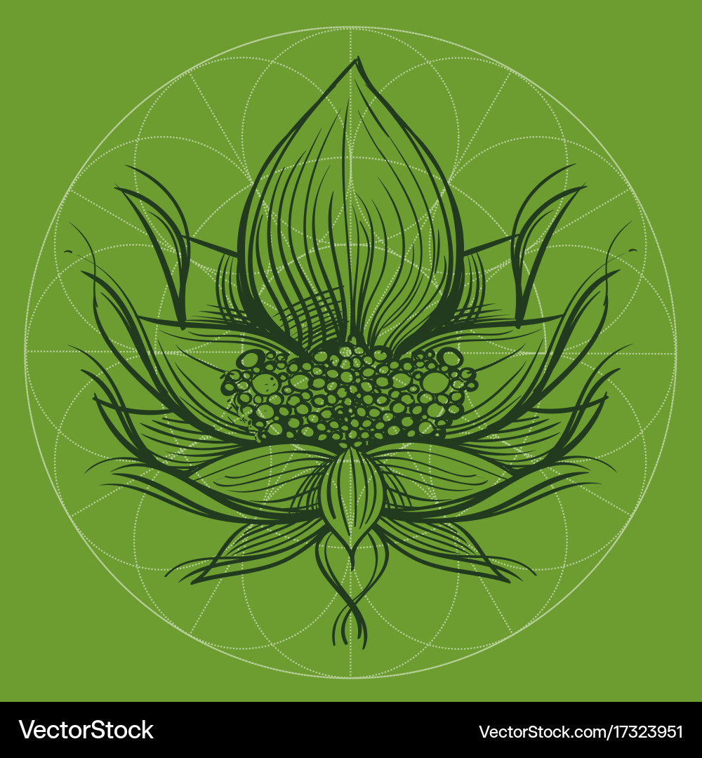 Elegant element of a stylized flower with smooth Vector Image
