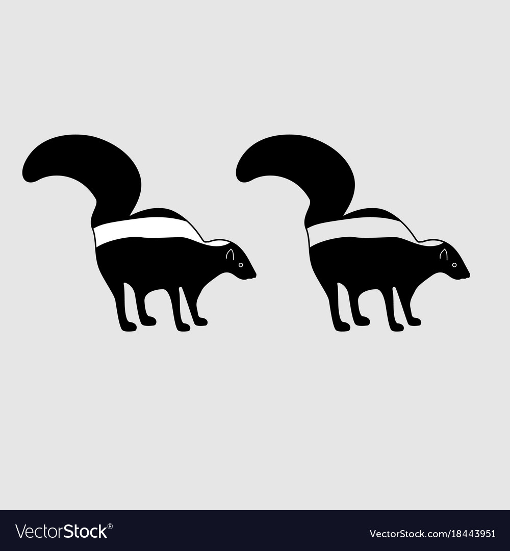 Skunk Royalty Free Vector Image - VectorStock