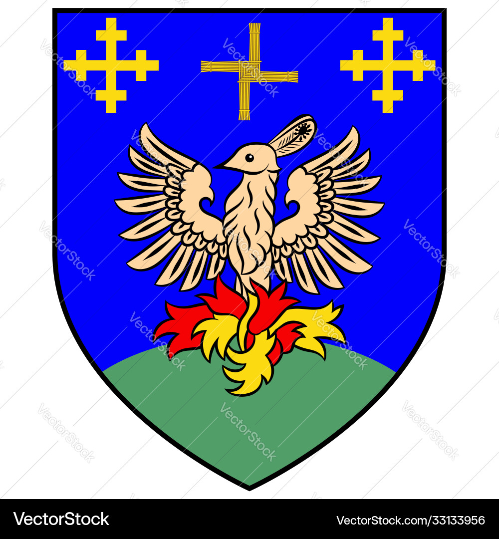 Coat arms tullamore in county offaly Royalty Free Vector